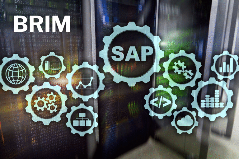 Deciphering SAP BRIM: What’s Best for Your Business – YemPover Inc